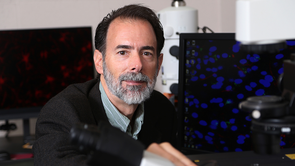 Neuroscientist Professor Ben Bahr Awarded $1.1 Million for Alzheimer’s ...